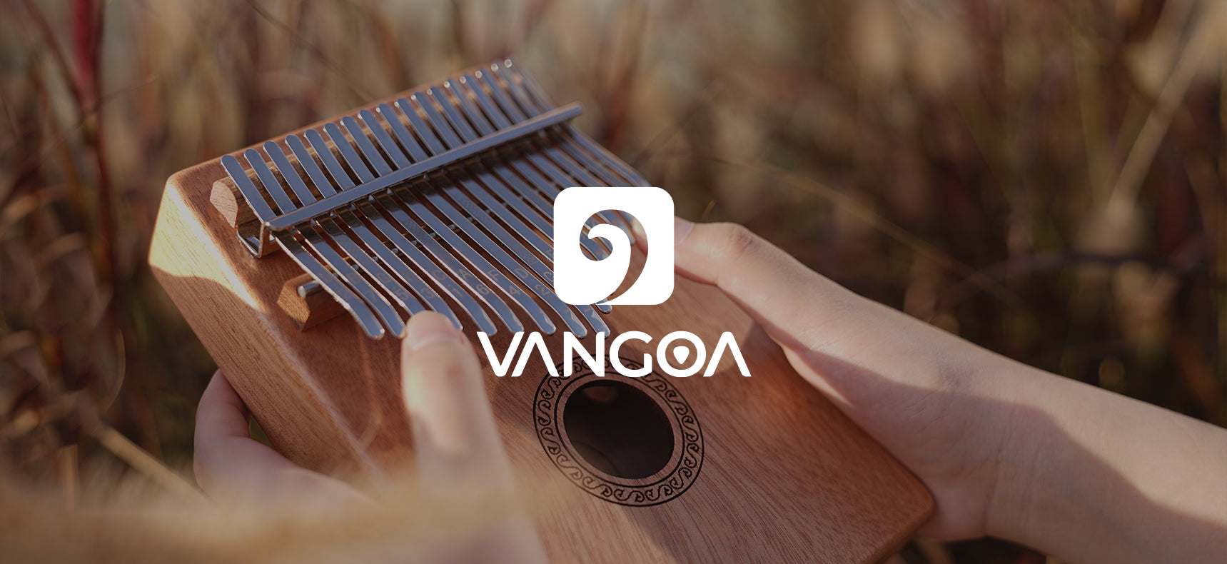 About Us – Vangoa
