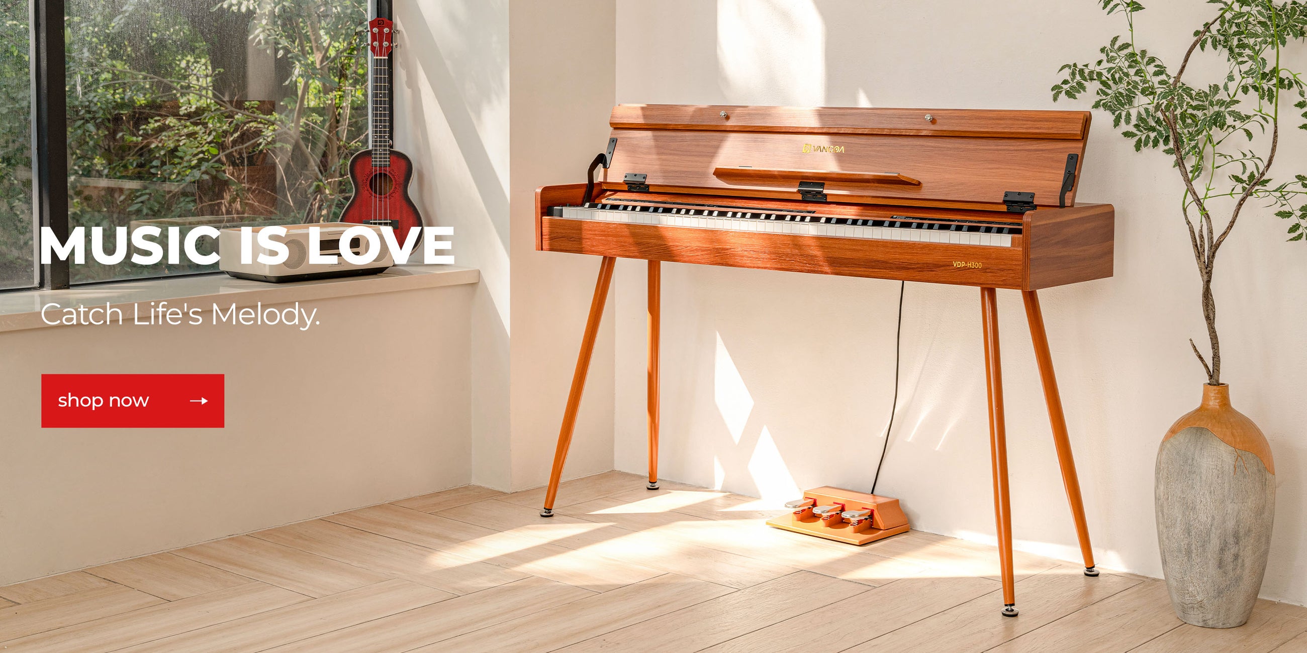 Vangoa Musical Instrument | Catch Life's Melody